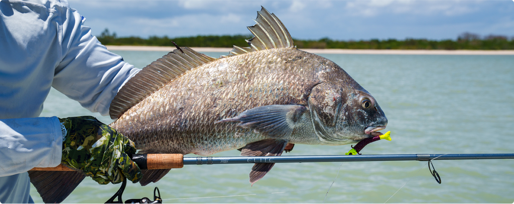 Explore Fenwick® Fishing Elite Series | Fenwick®