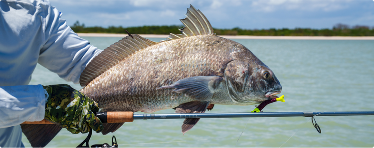 Explore Fenwick® Fishing Elite Series | Fenwick®